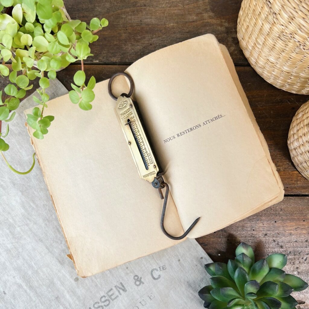 Peson anglais en laiton - Ma valise en carton